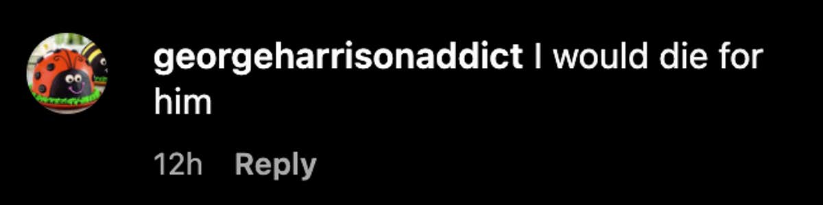 Meet Lufy, the Bichon Frise rescue the internet would die for