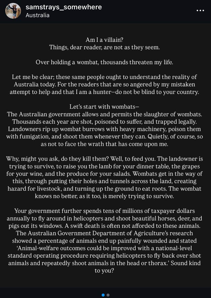 Internet furious after influencer Sam Jones pulls baby wombat from ...