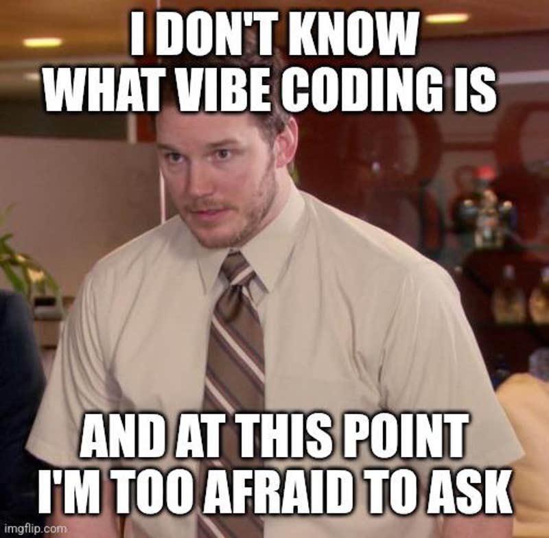 What is ‘vibe coding’? AI-assisted programming sparks memes ...