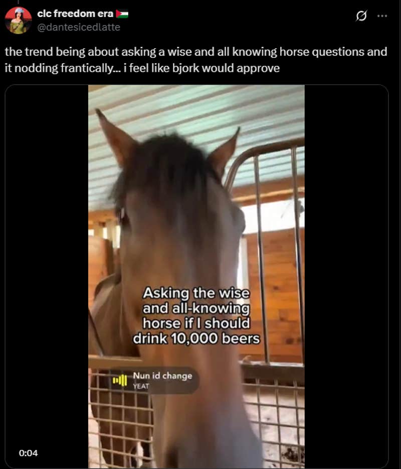 The Björk horse meme is no longer a joke. It's a lifestyle, a prophecy