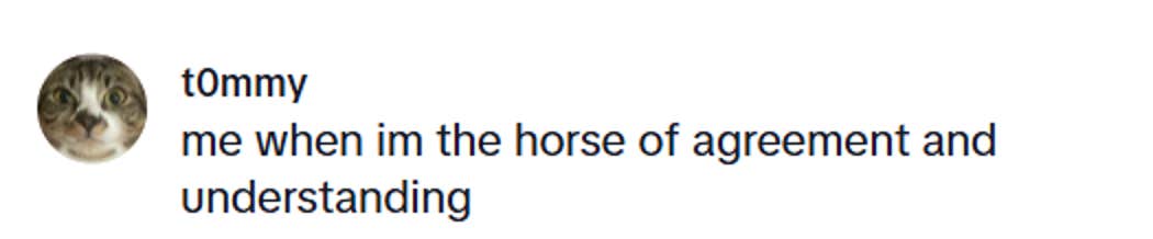 The Björk horse meme is no longer a joke. It's a lifestyle, a prophecy