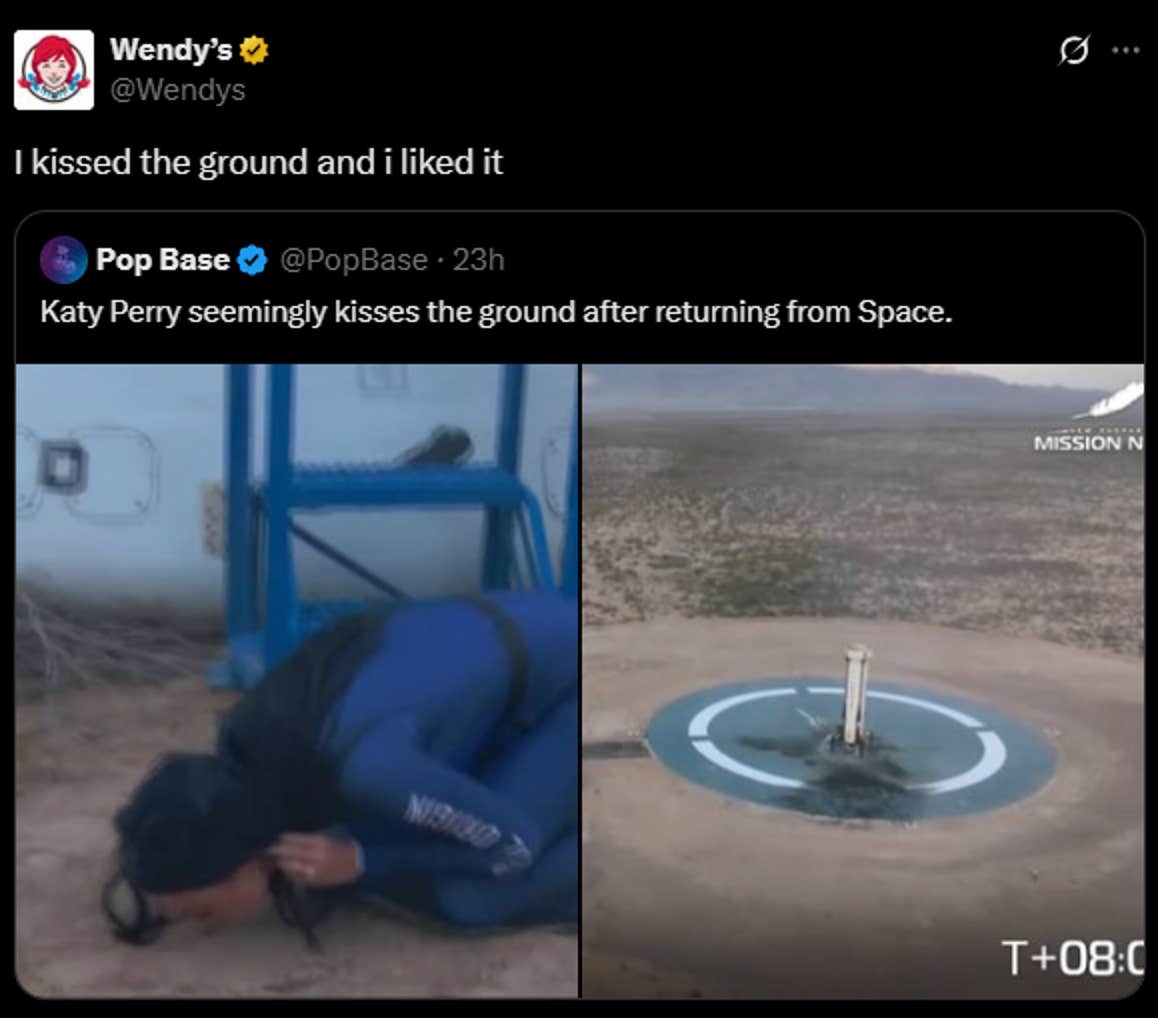 Katy Perry fans demand apology after Wendy’s 'send her back' joke