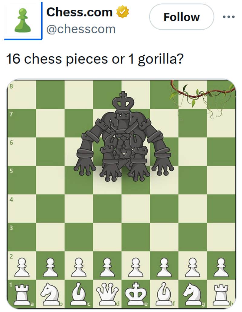 Could 100 men beat a gorilla? The viral tweet that sparked a meme war