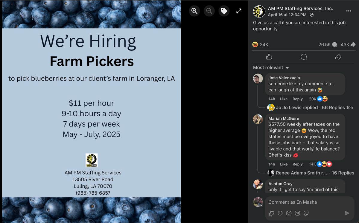 Blueberry picking job ad offers $11/hr for farm labor, sparking outrage