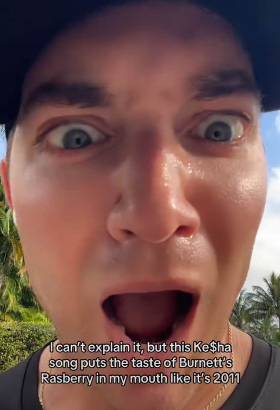 Kesha’s Recession Pop banger has millennials nostalgic for cheap liquor ...