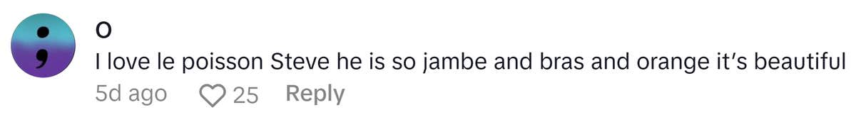 Le Poisson Steve: How a dancing orange fish took over TikTok