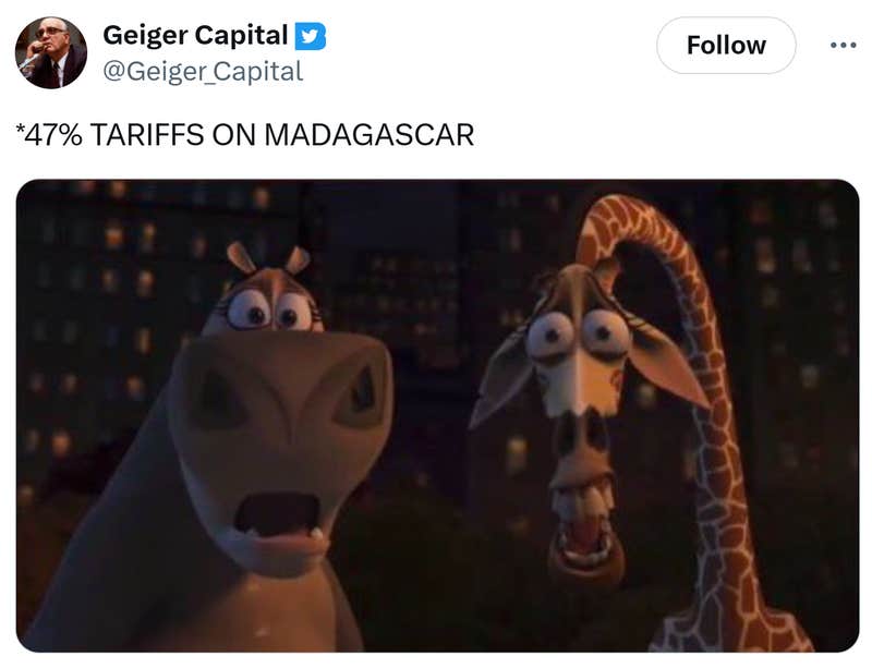 Liberation Day: 53 memes responding to Trump's tariffs