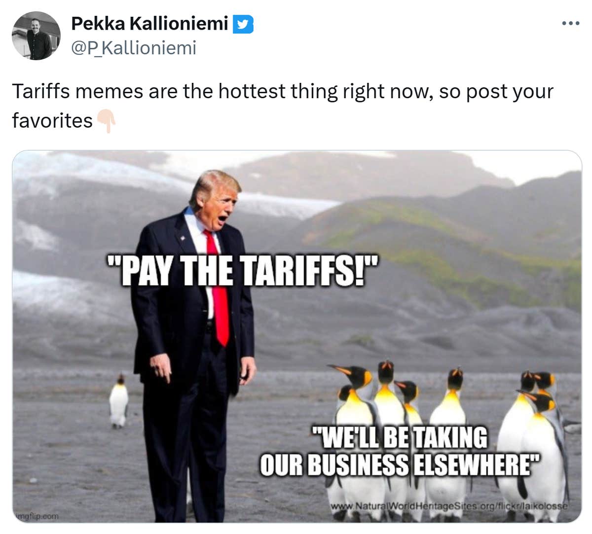 Liberation Day: 53 memes responding to Trump's tariffs