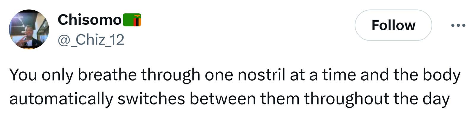 25 fun facts about very niche subjects, as told by Twitter