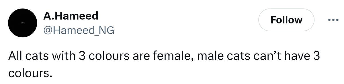 25 fun facts about very niche subjects, as told by Twitter