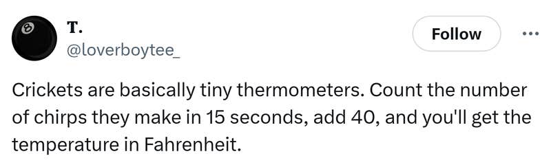 25 fun facts about very niche subjects, as told by Twitter