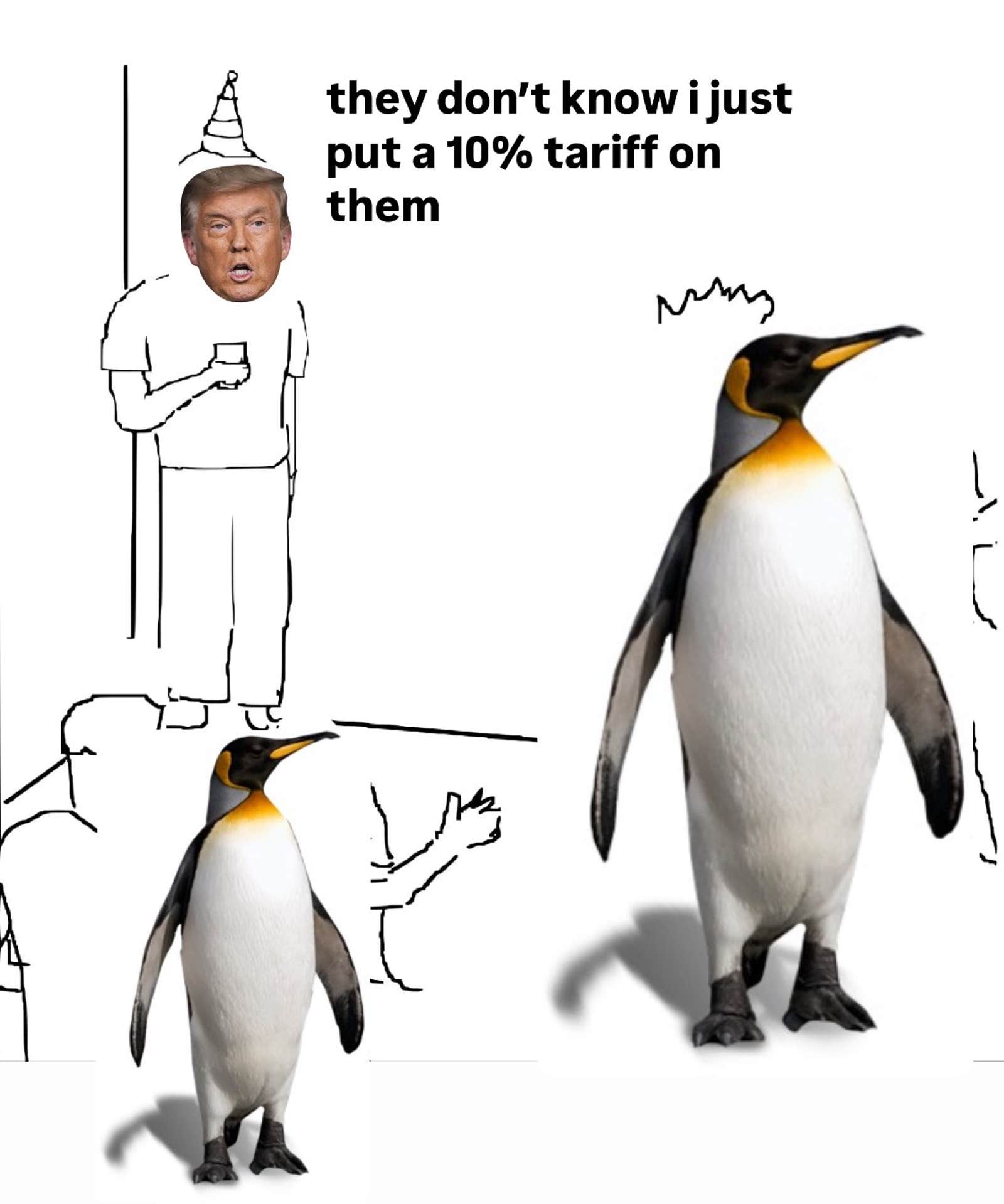 Trump tariffs inspire viral Penguin memes: 24 of the best