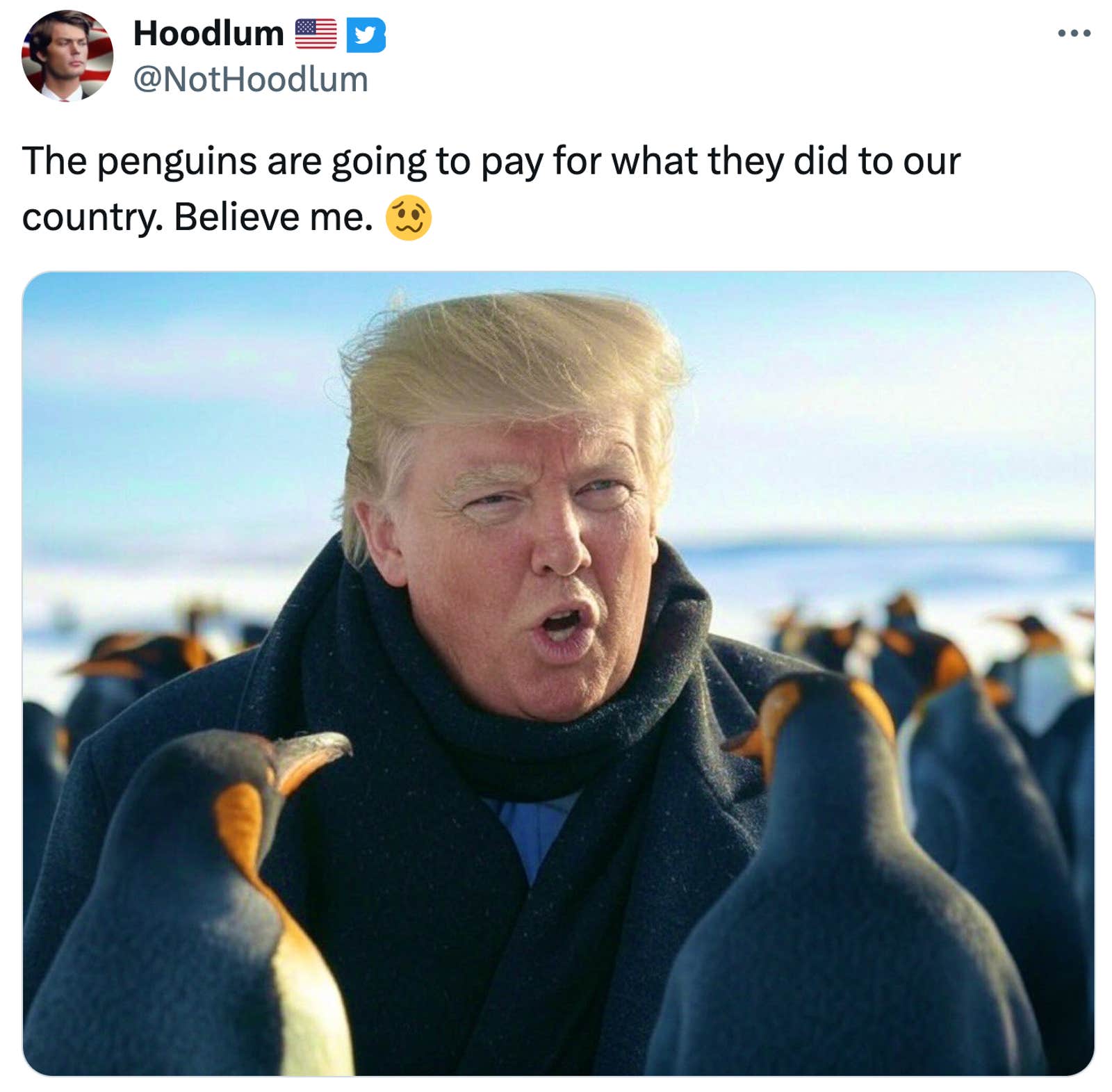 Trump tariffs inspire viral Penguin memes: 24 of the best