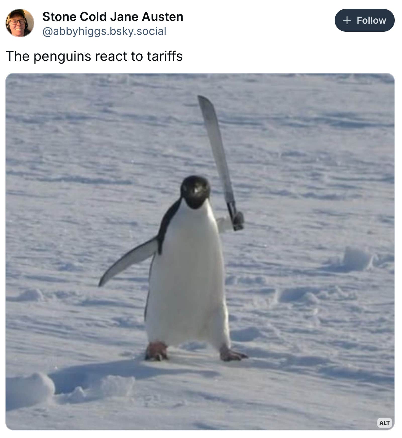 Trump tariffs inspire viral Penguin memes: 24 of the best