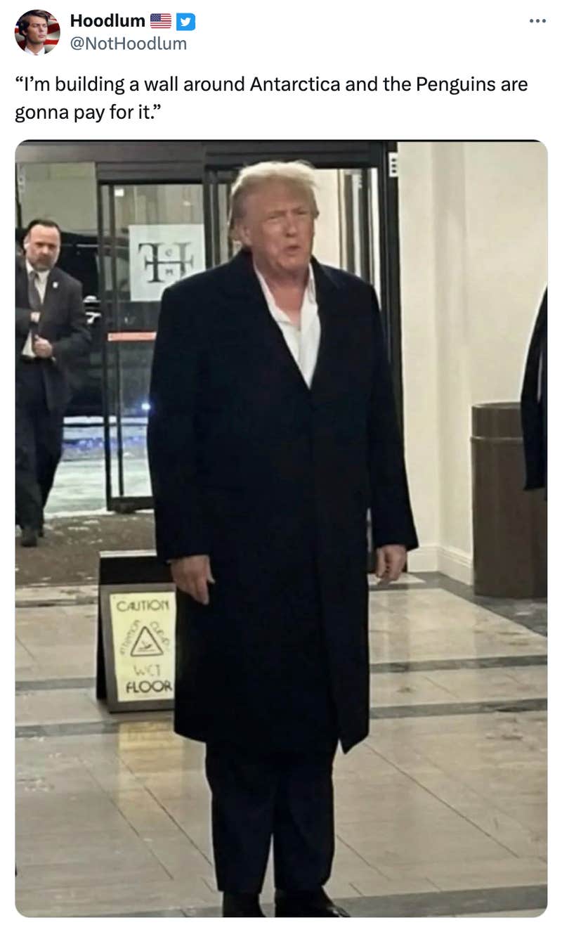 Trump tariffs inspire viral Penguin memes: 24 of the best