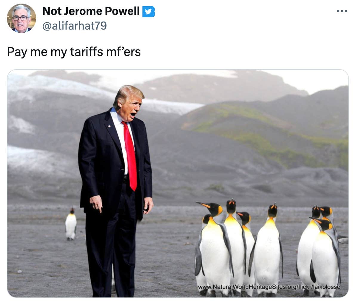 Trump tariffs inspire viral Penguin memes: 24 of the best