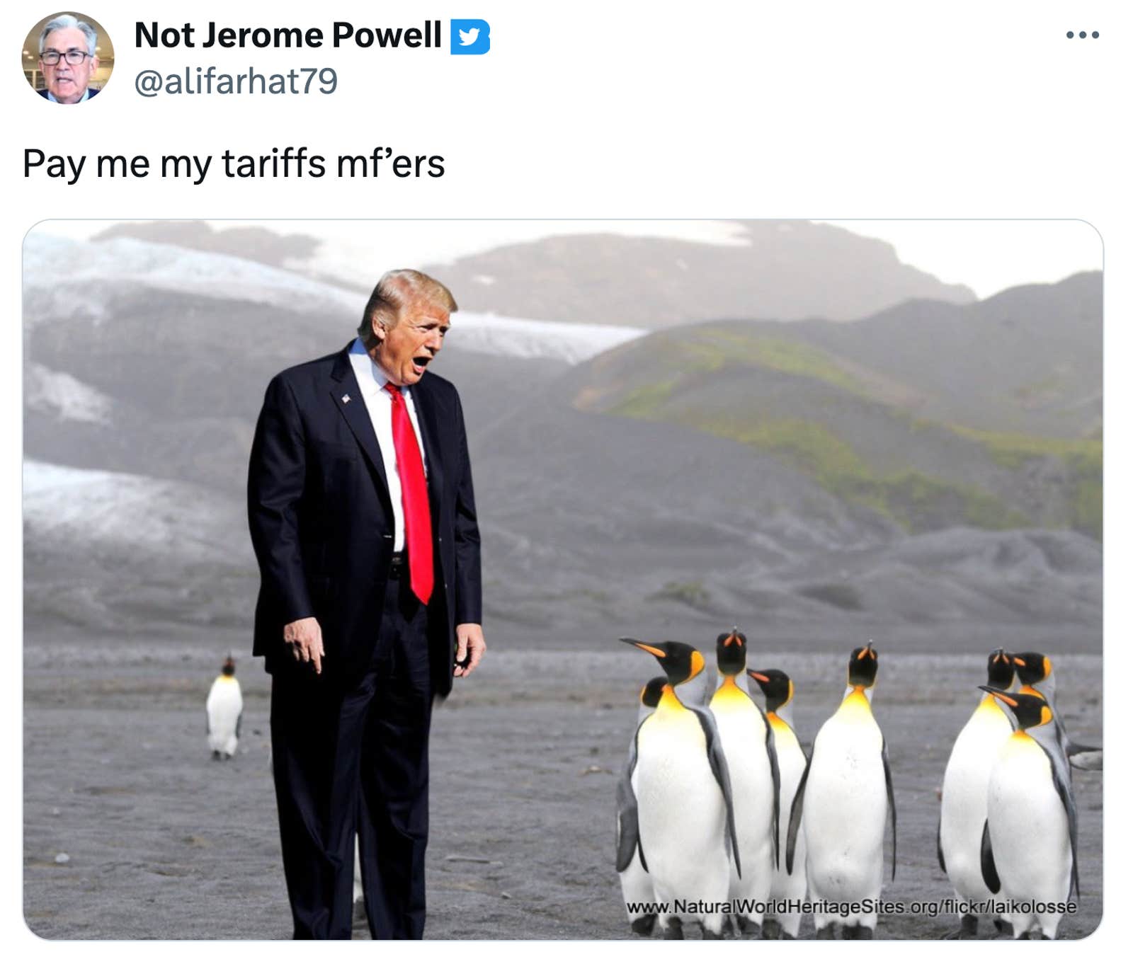 Trump tariffs inspire viral Penguin memes: 24 of the best