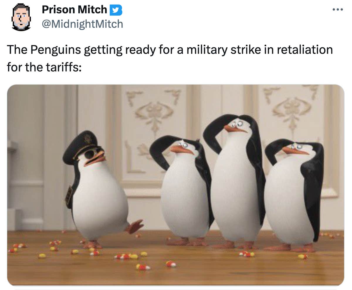 Trump tariffs inspire viral Penguin memes: 24 of the best