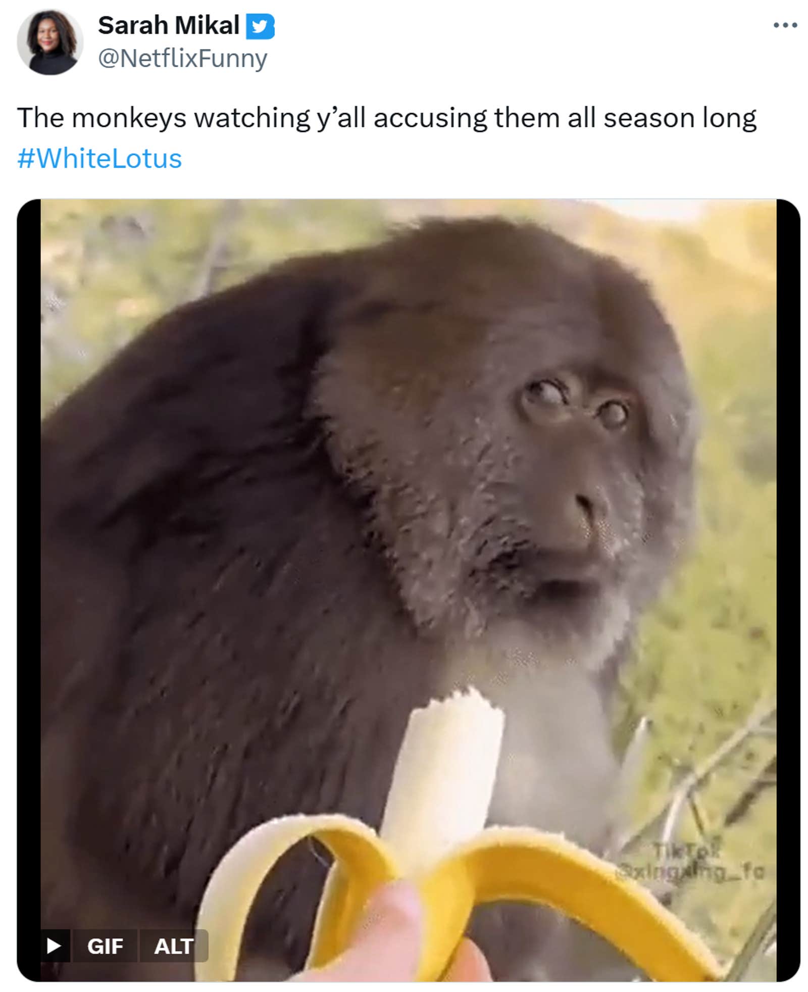 24 of the best 'White Lotus' season 3 finale memes