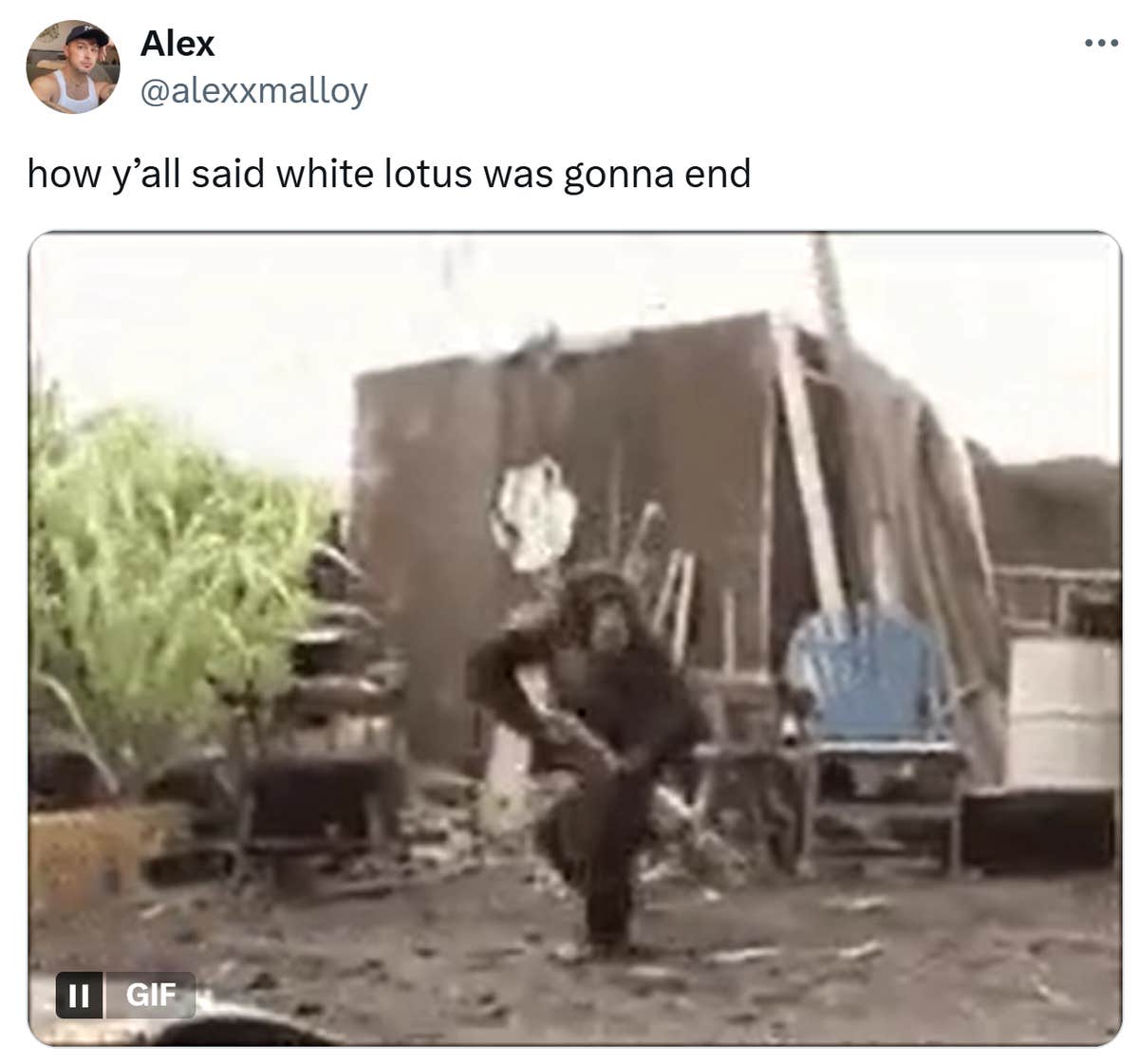 24 of the best 'White Lotus' season 3 finale memes