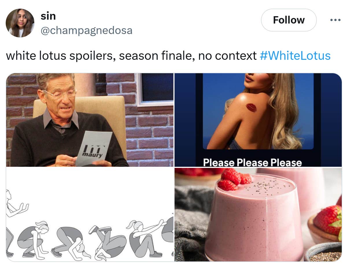 24 of the best 'White Lotus' season 3 finale memes