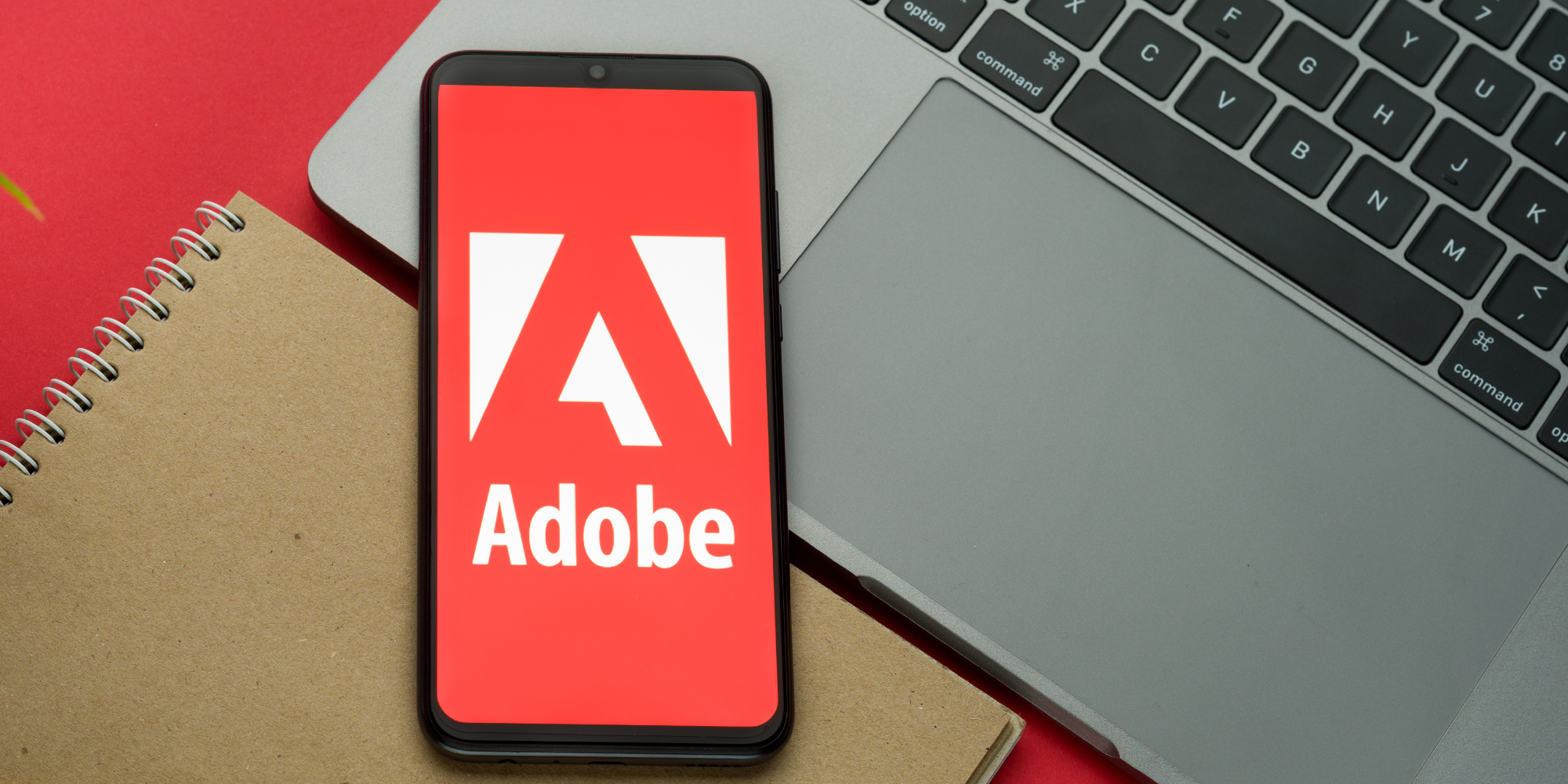 Adobe - The Daily Dot