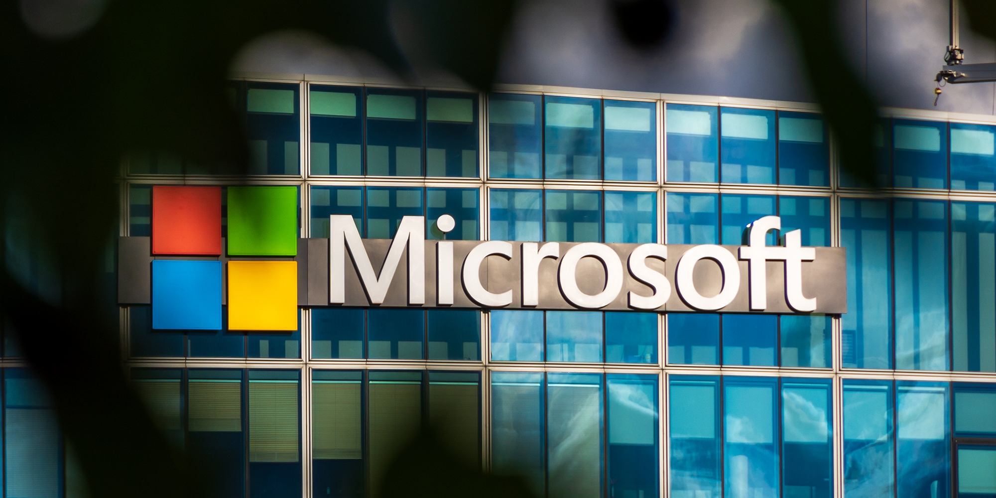 Microsoft - The Daily Dot