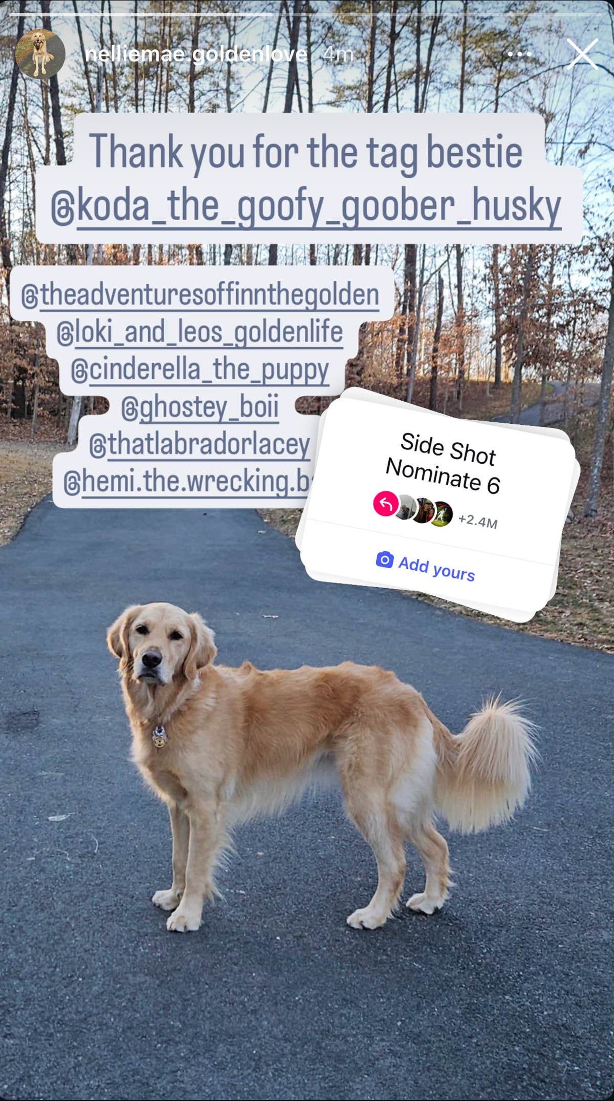What is the ‘Side Shot Nominate 6’ trend on Instagram?
