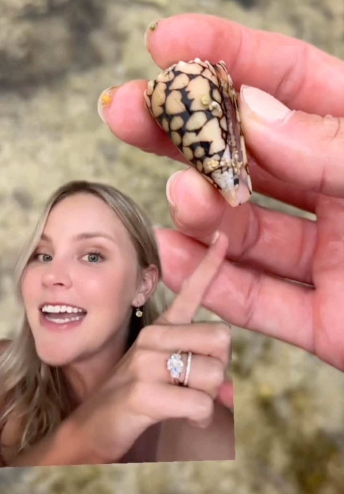 TikToker picks up pretty seashell, learns it's the deadly cone snail