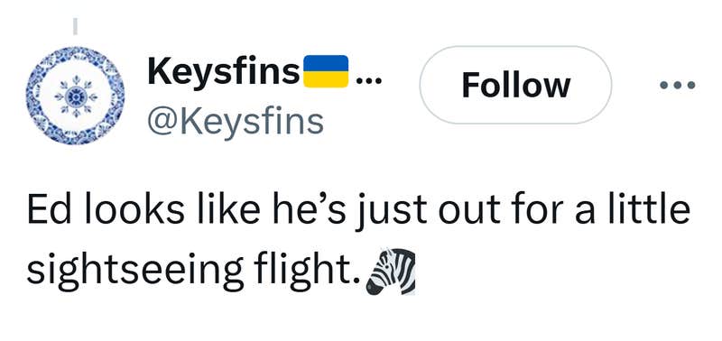 Ed the zebra escapes, gets airlifted like a Disney character, and ...