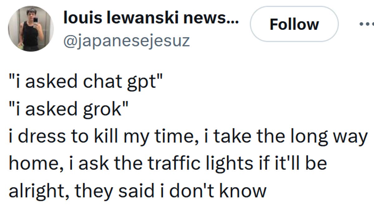 "I Asked ChatGPT" "I Asked Grok" Memes Ask Anybody Else