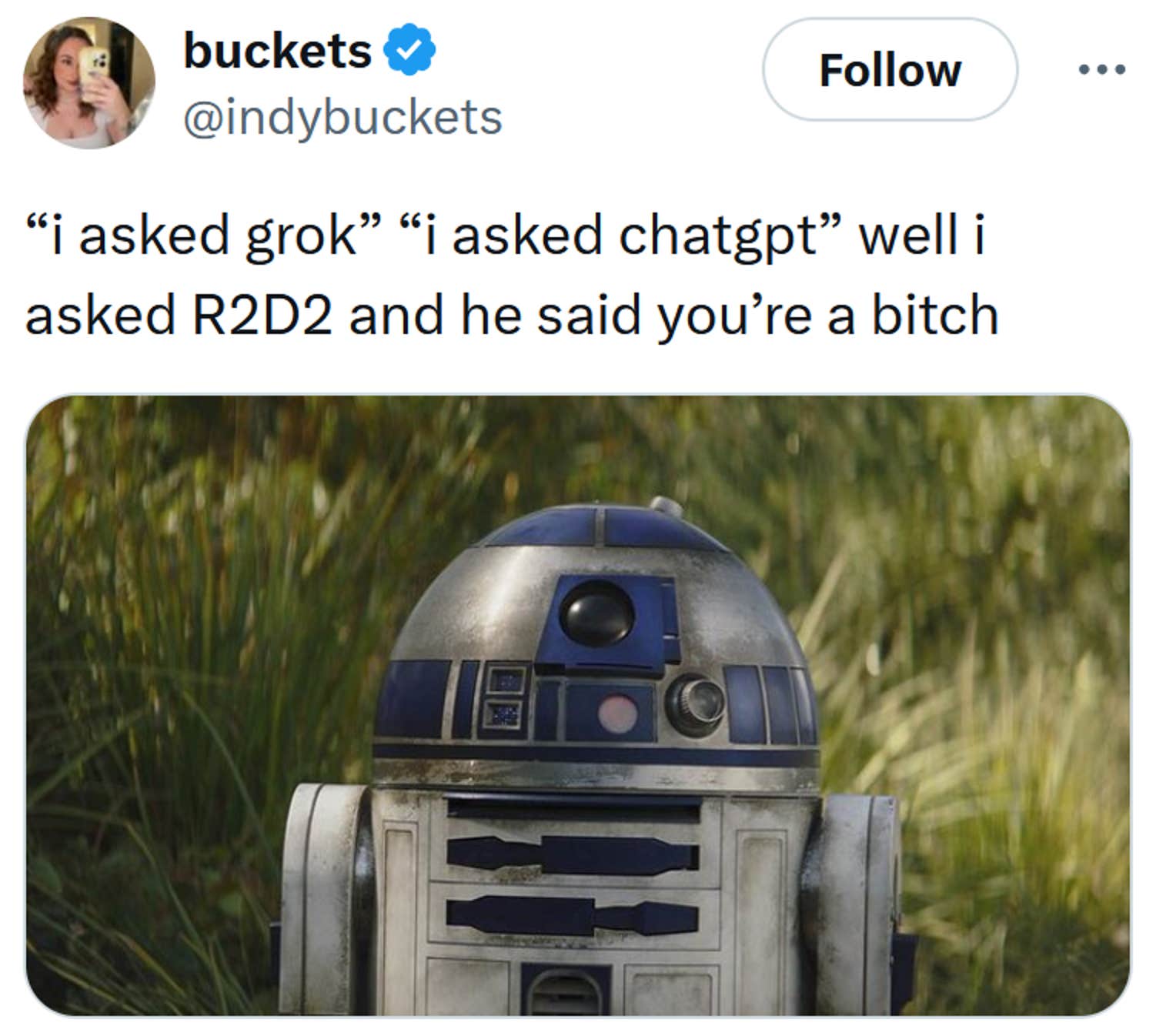 "I Asked ChatGPT" "I Asked Grok" Memes Ask Anybody Else