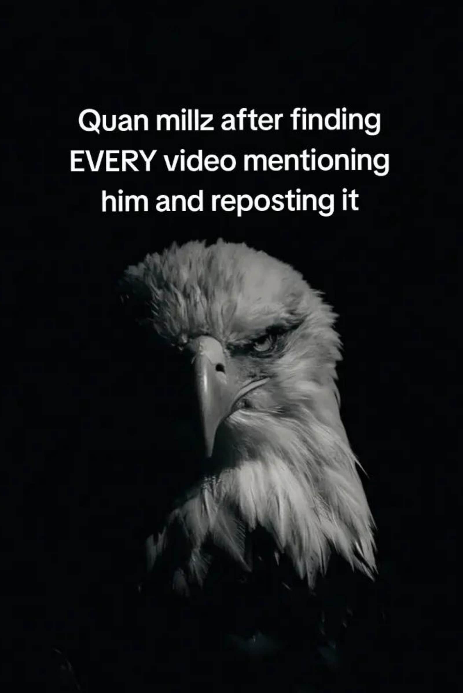 Quan Millz’s ridiculous books spark TikTok game of hide-and-seek