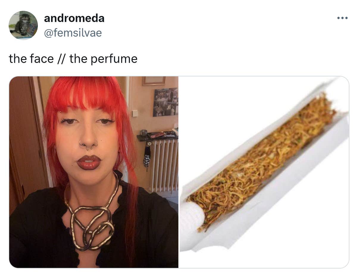 "The face vs the perfume" meme is peak Gen Z aesthetic irony