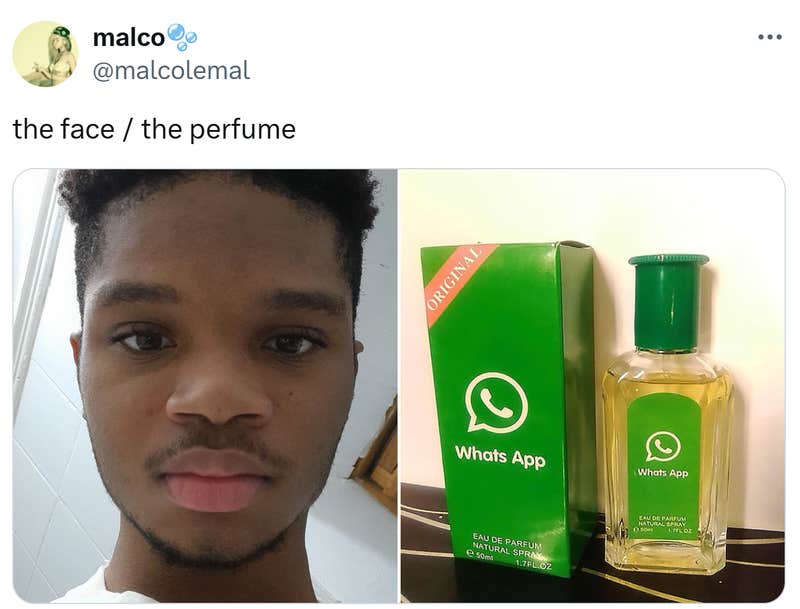"The face vs the perfume" meme is peak Gen Z aesthetic irony