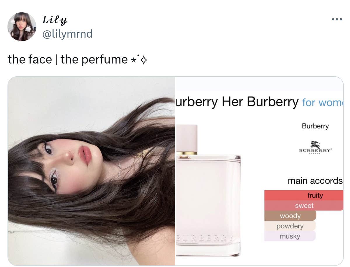 "The face vs the perfume" meme is peak Gen Z aesthetic irony