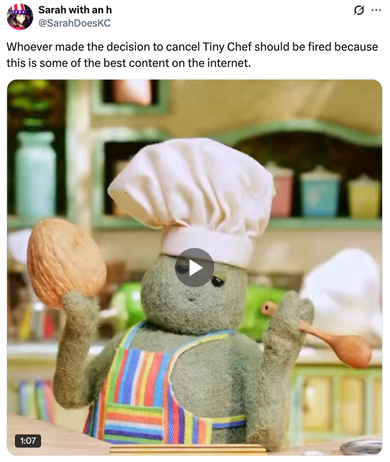 Fans Rally Around Canceled Nickelodeon Series Tiny Chef Show