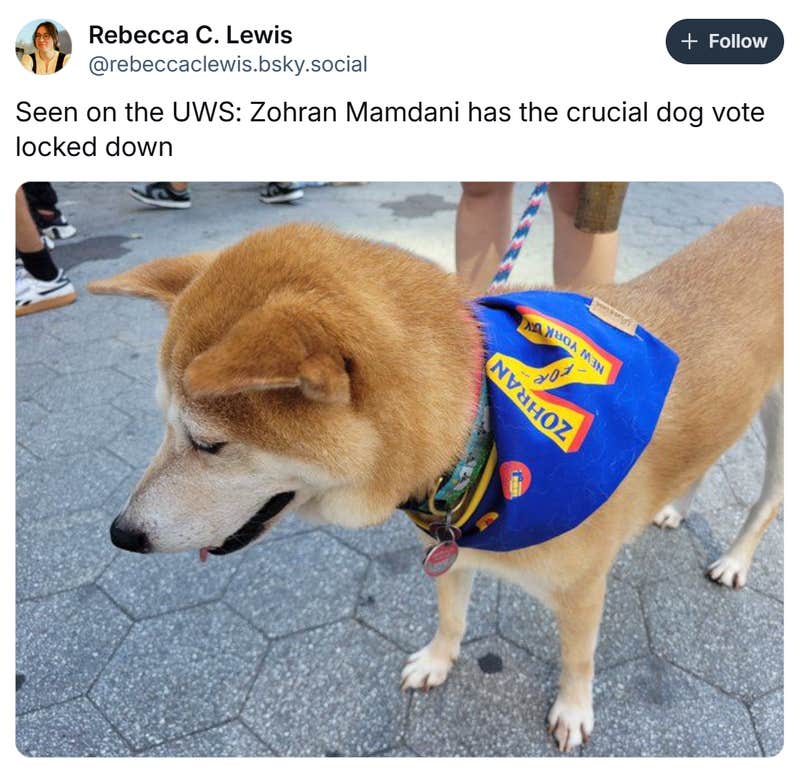 Zohran Mamdani memes: 31 memes celebrating his NYC mayoral primary win