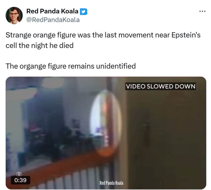 What is the orange blob in Epstein’s jail footage? Theories swirl