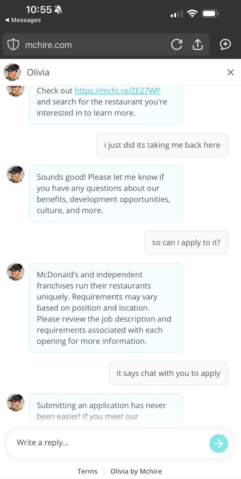 McDonald’s AI hiring chatbot traps applicant in frustrating loop