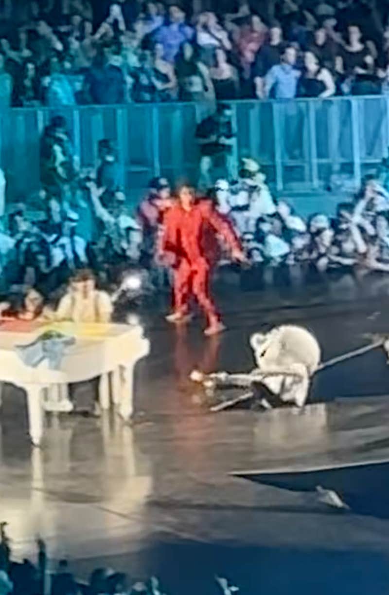Mr. Met falls off the stage during Lumineers performance