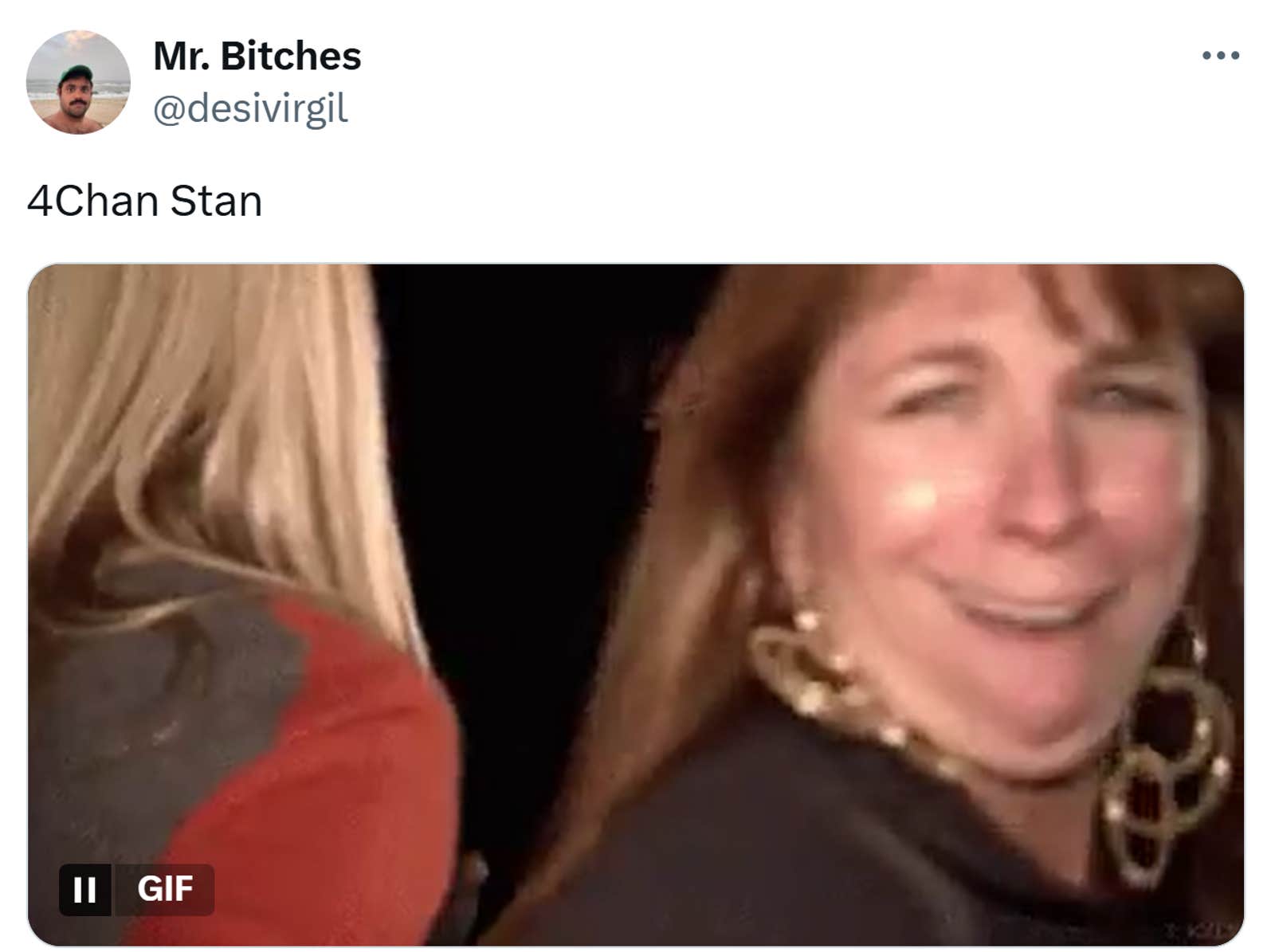 The internet is all about "4chan stan" by Lily Allen