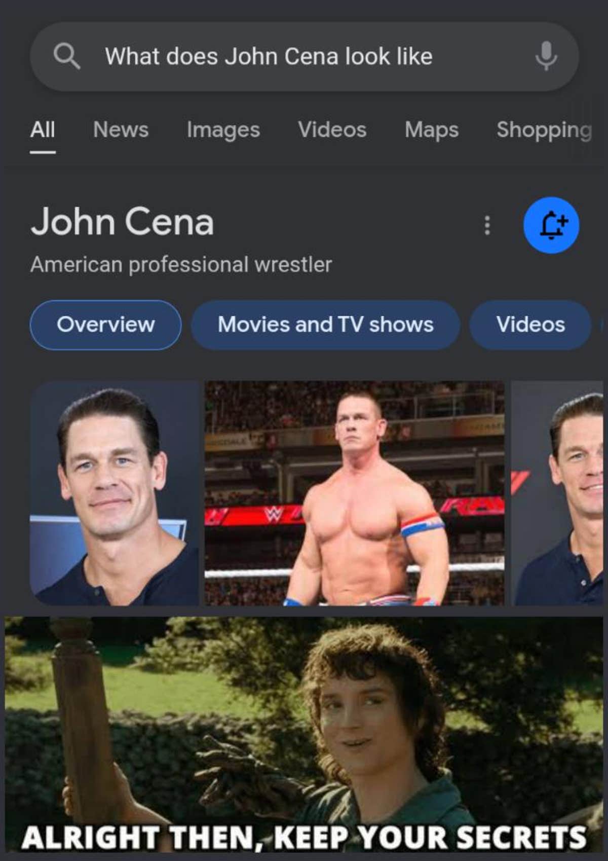 The best John Cena memes of all time