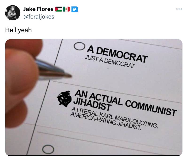 27 of the best memes and jokes about Zohran Mamdani's mayoral win