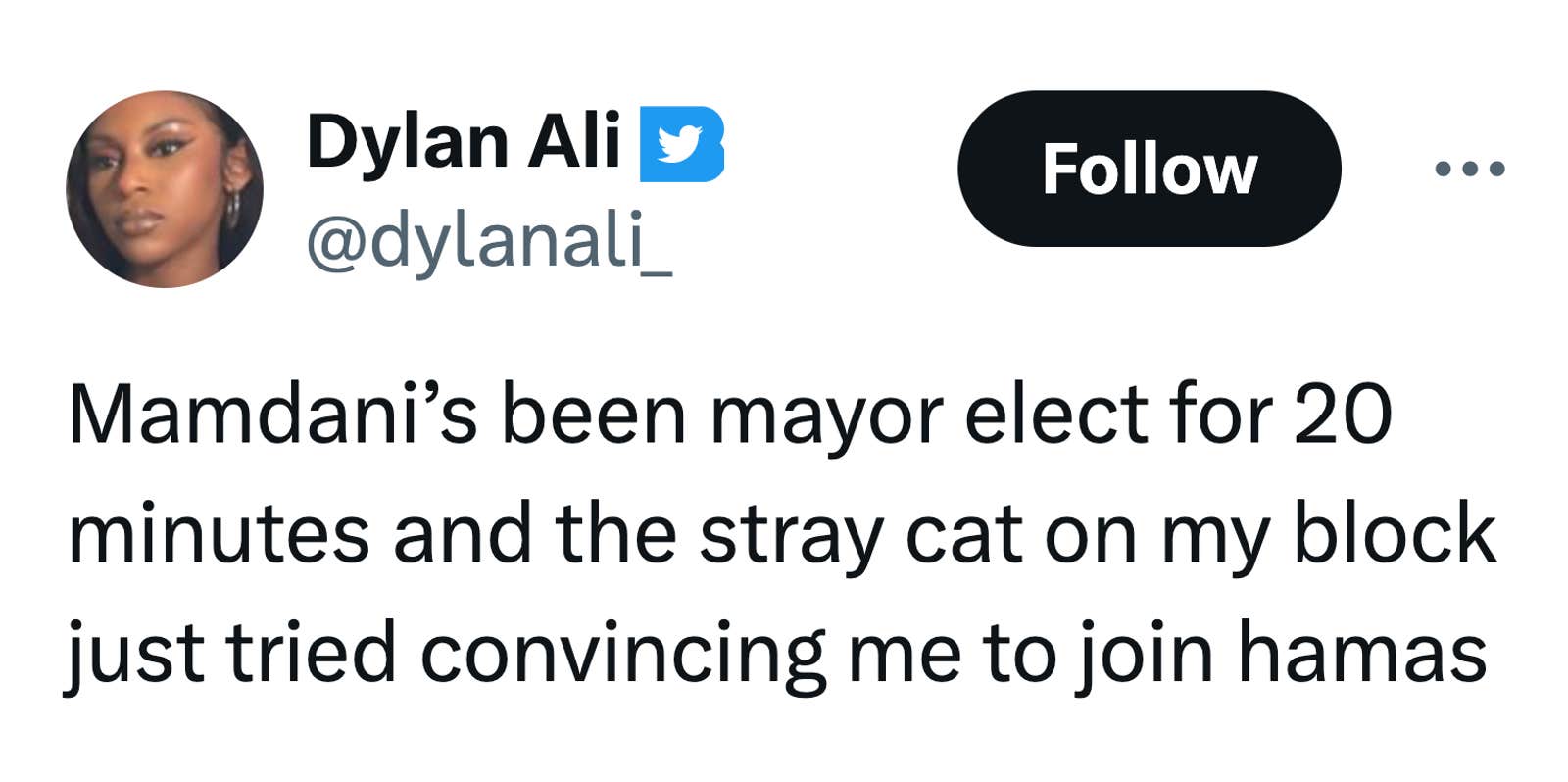 27 of the best memes and jokes about Zohran Mamdani's mayoral win