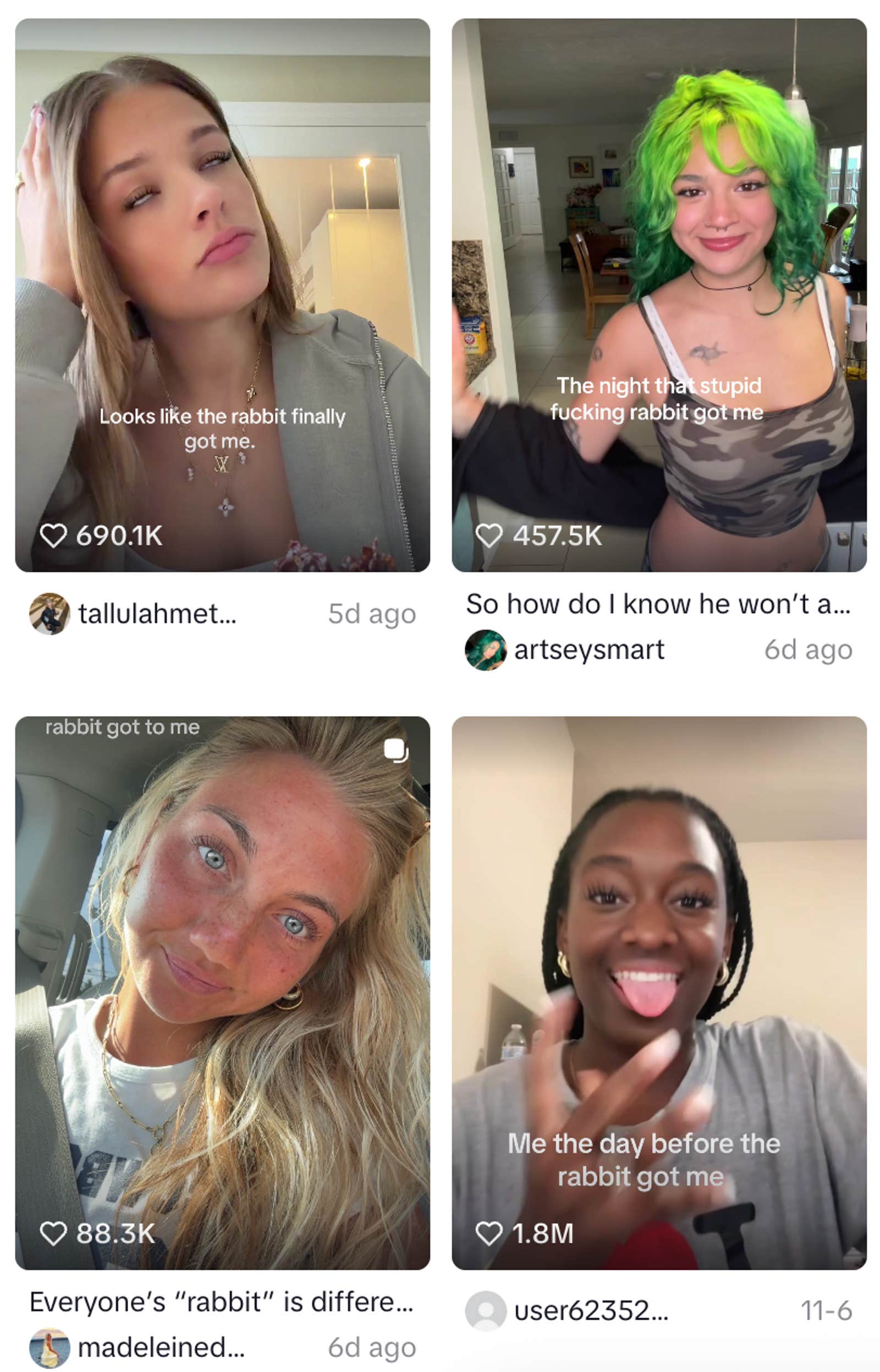 What Is the Viral "The Rabbit Got Me" Trend on TikTok?