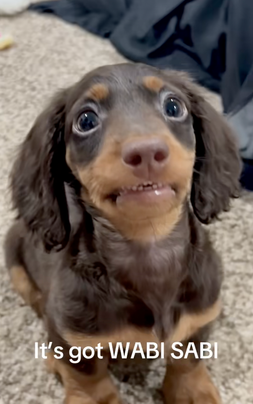 What the “wabi-sabi” trend means on TikTok