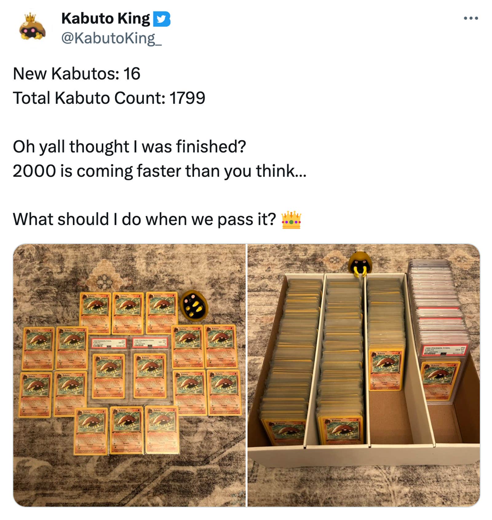 Kabuto King is Buying Up First Edition Pokemon Cards