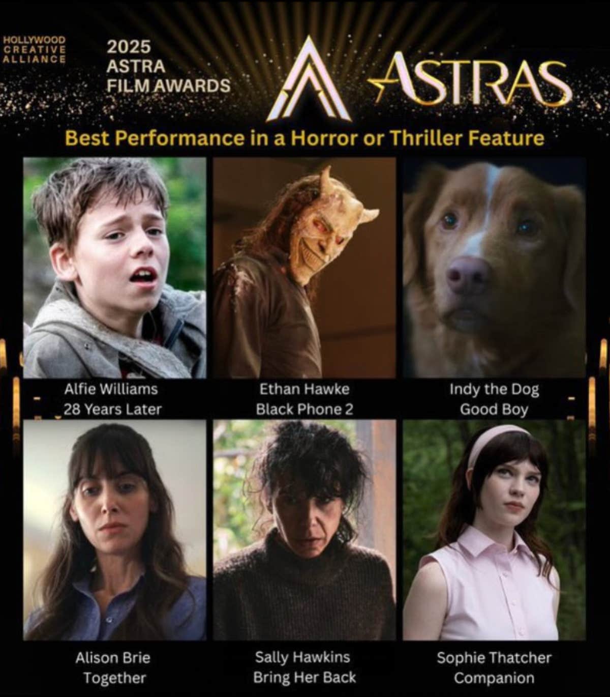 Indy the dog just beat Ethan Hawke and Alison Brie for a film award