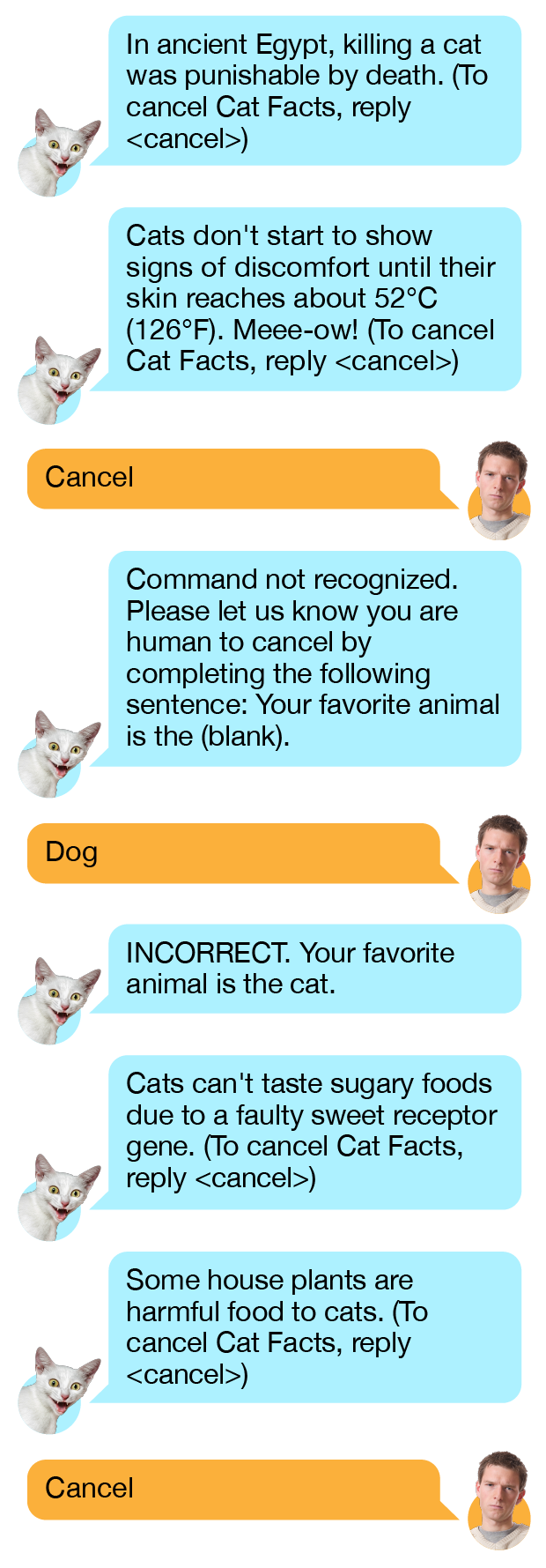 A secret history of Cat Facts, the greatest text message hoax ever